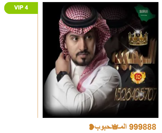 قائمة VIP